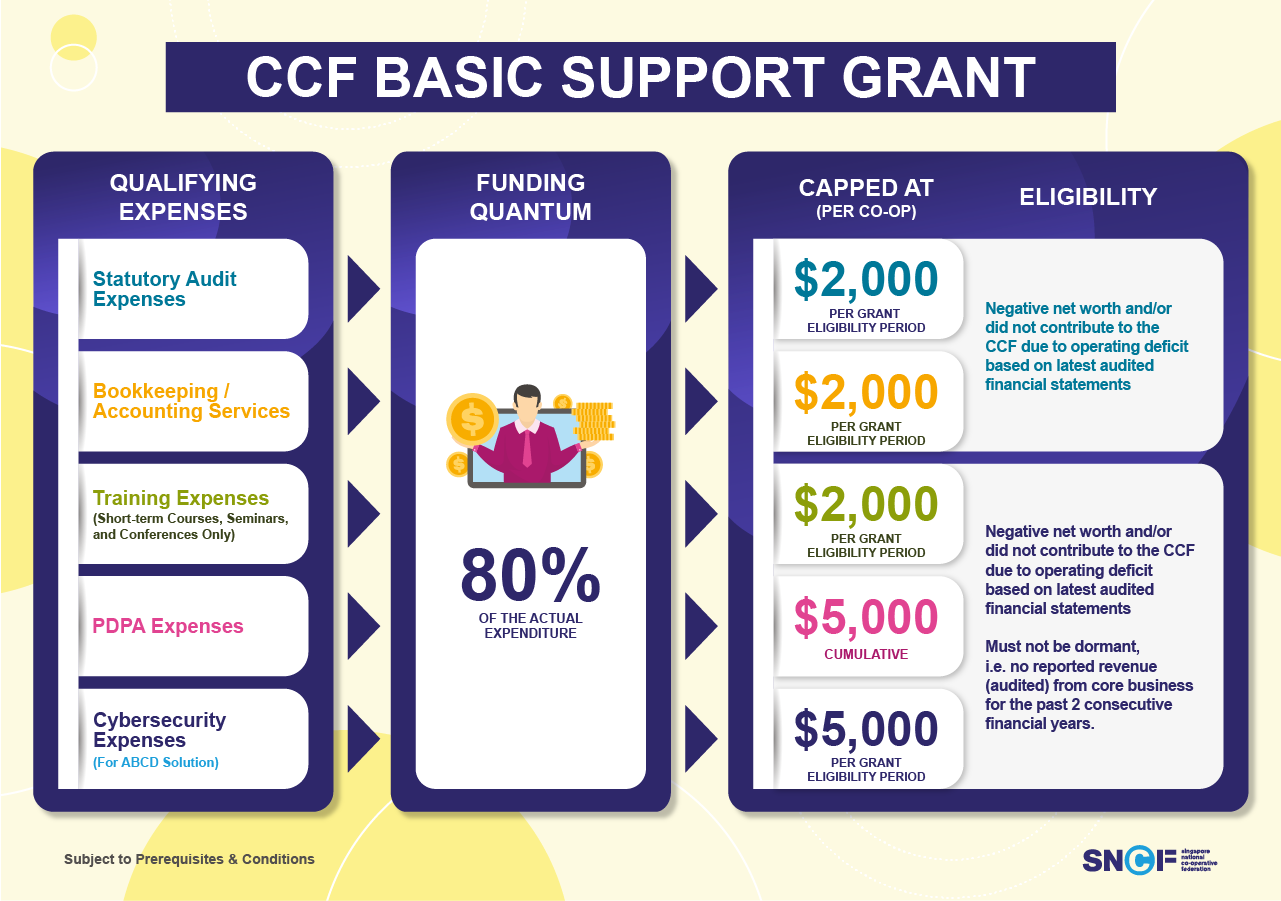 CCF Basic Support Grant